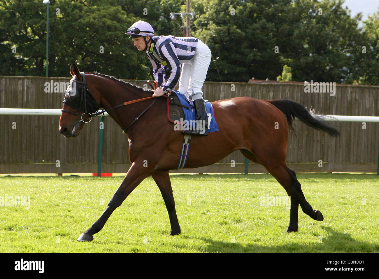 Horse Racing - Nottingham Racecourse Stock Photo - Alamy
