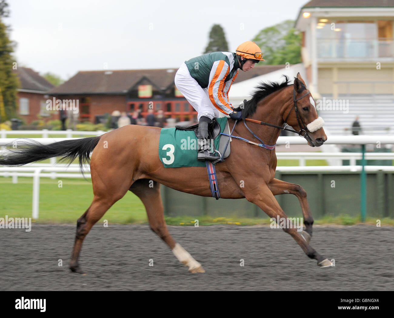 Lingfield race course hi-res stock photography and images - Alamy