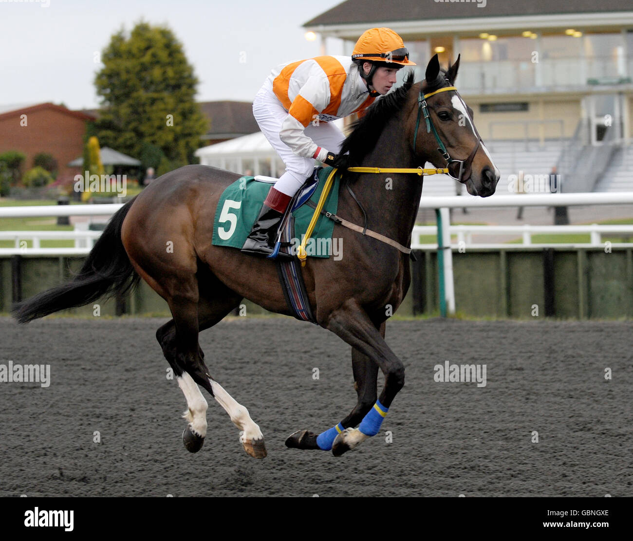 Cackle hi-res stock photography and images - Alamy