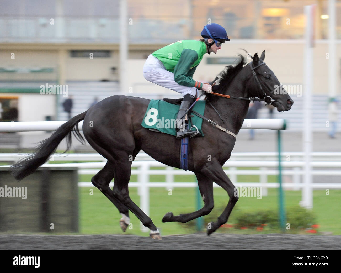 Dark ranger ridden by robert havlin at lingfield race course hi-res ...