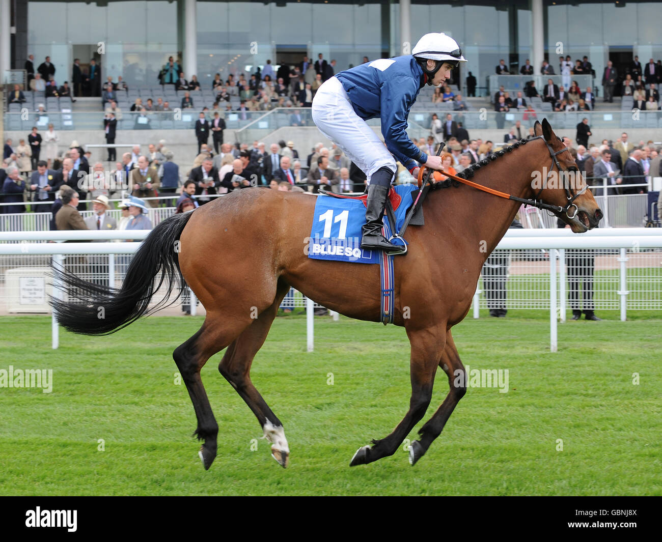 Jockey Jamie Moriarty on Knot in Wood goes to post in the Duke Of York ...