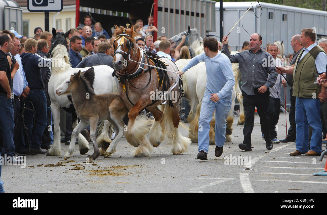 Wickham Annual Horse Fair Stock Photo - Alamy
