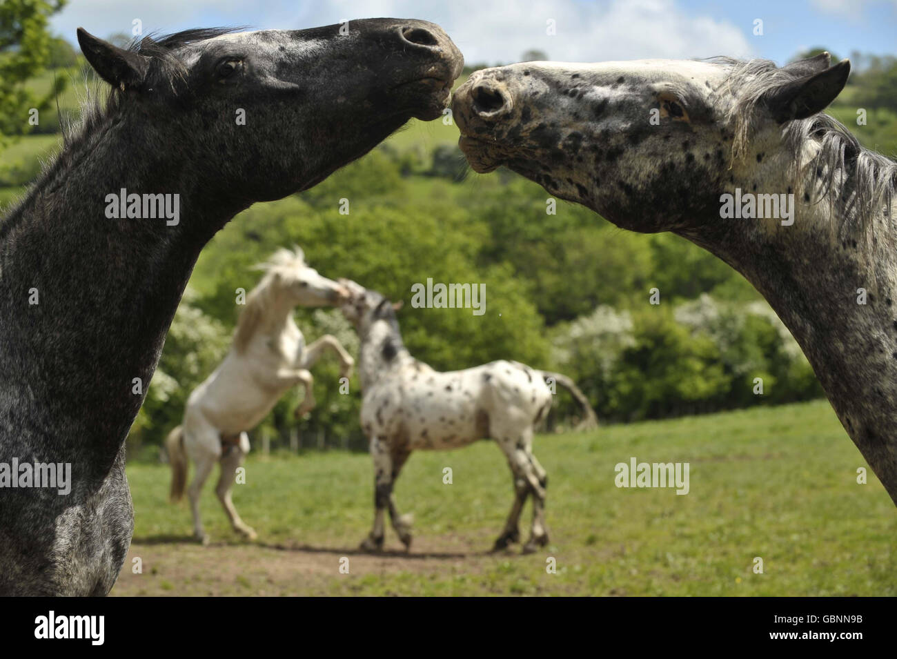 Craswall hi-res stock photography and images - Alamy