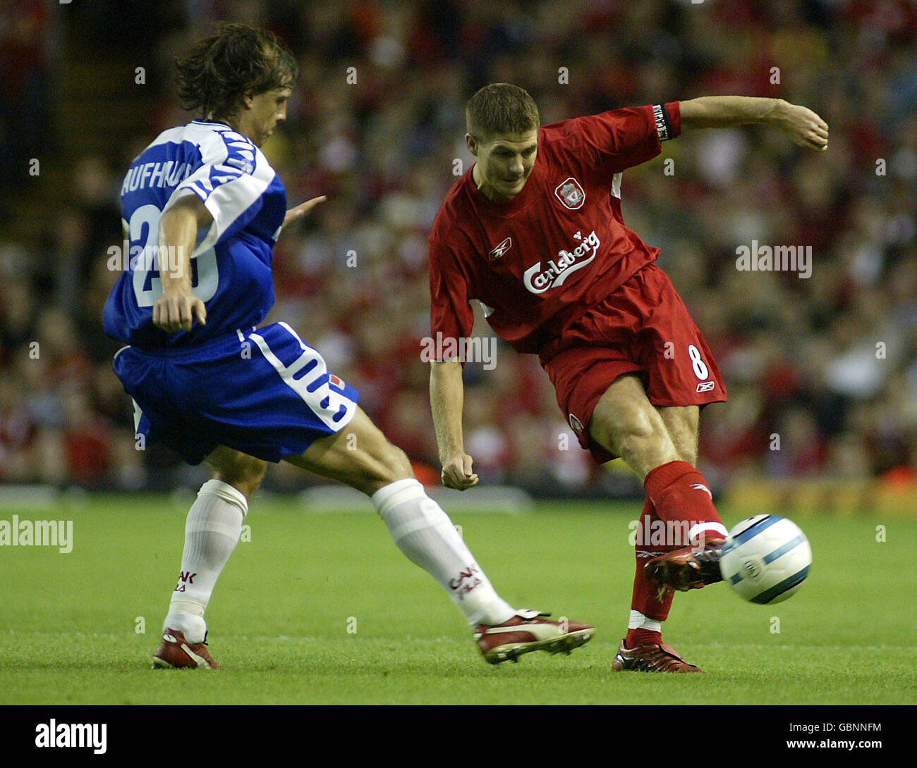 Steven rene hi-res stock photography and images - Alamy