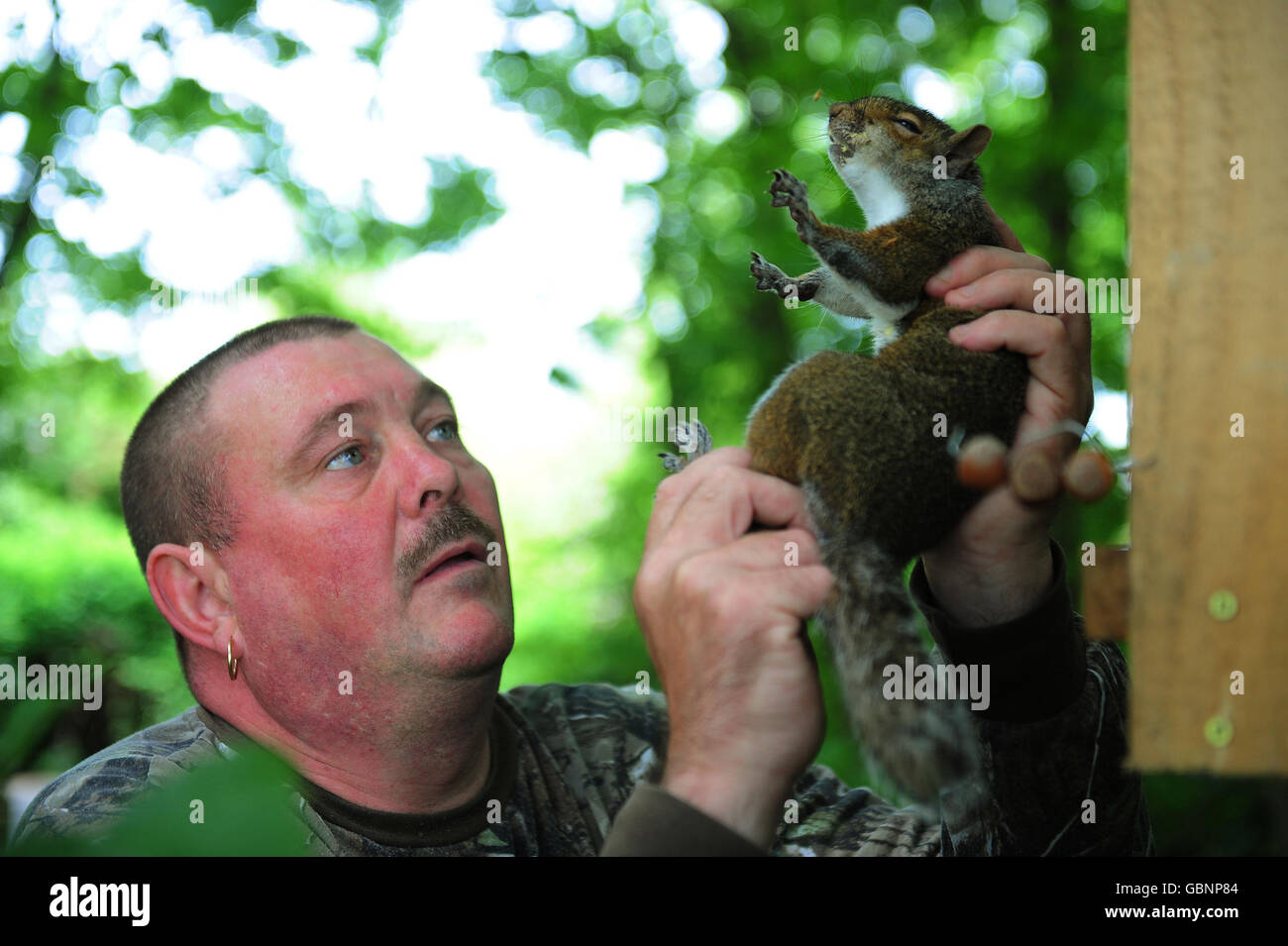 Cull Of Squirrels High Resolution Stock Photography and Images - Alamy