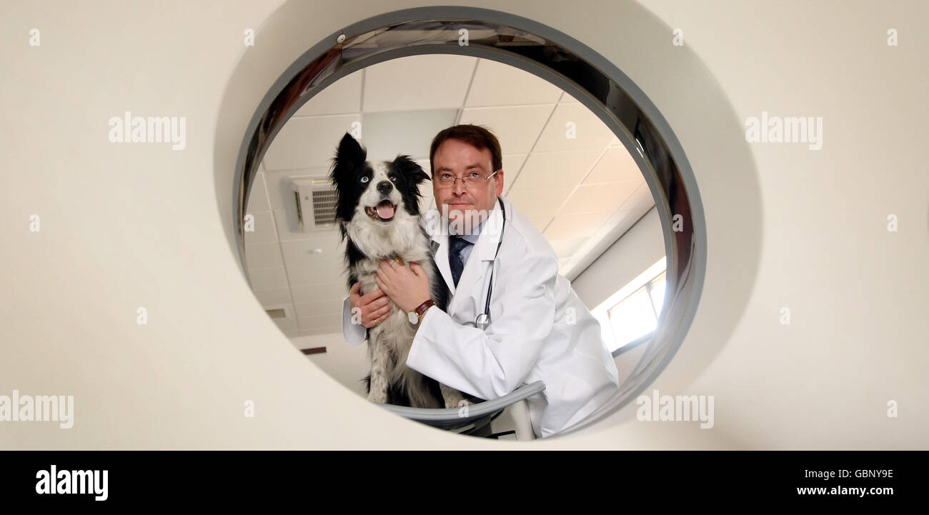 Professor David Argyle and Scrooble the dog, who overcame cancer and ...