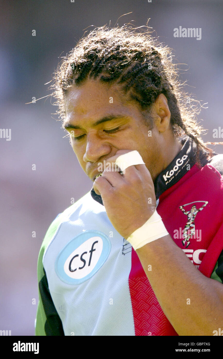 Steve sooialo hi-res stock photography and images - Alamy