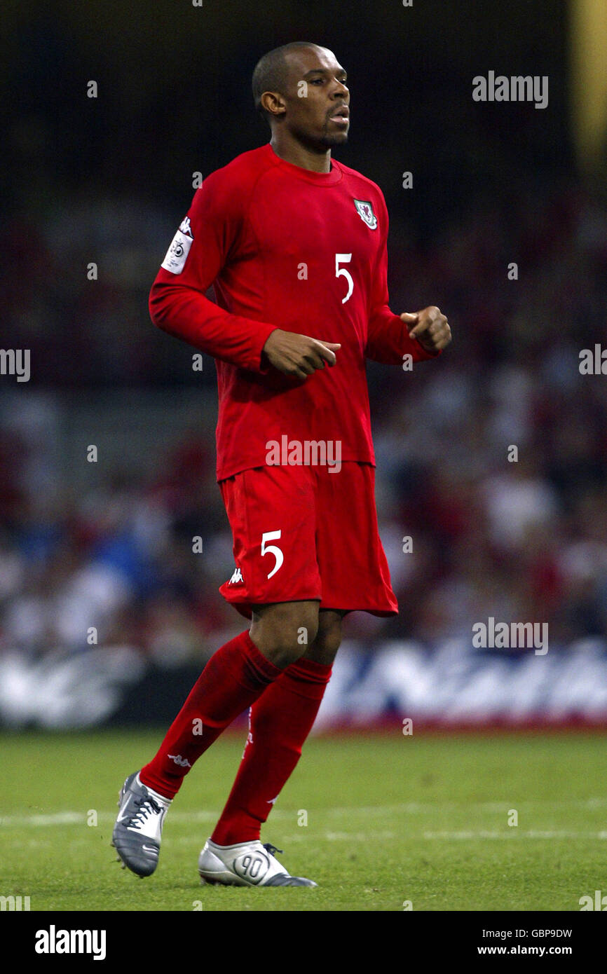 Danny gabbidon wales hi-res stock photography and images - Alamy