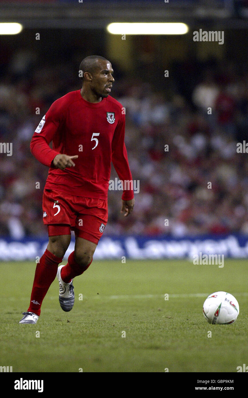 Danny gabbidon wales hi-res stock photography and images - Alamy