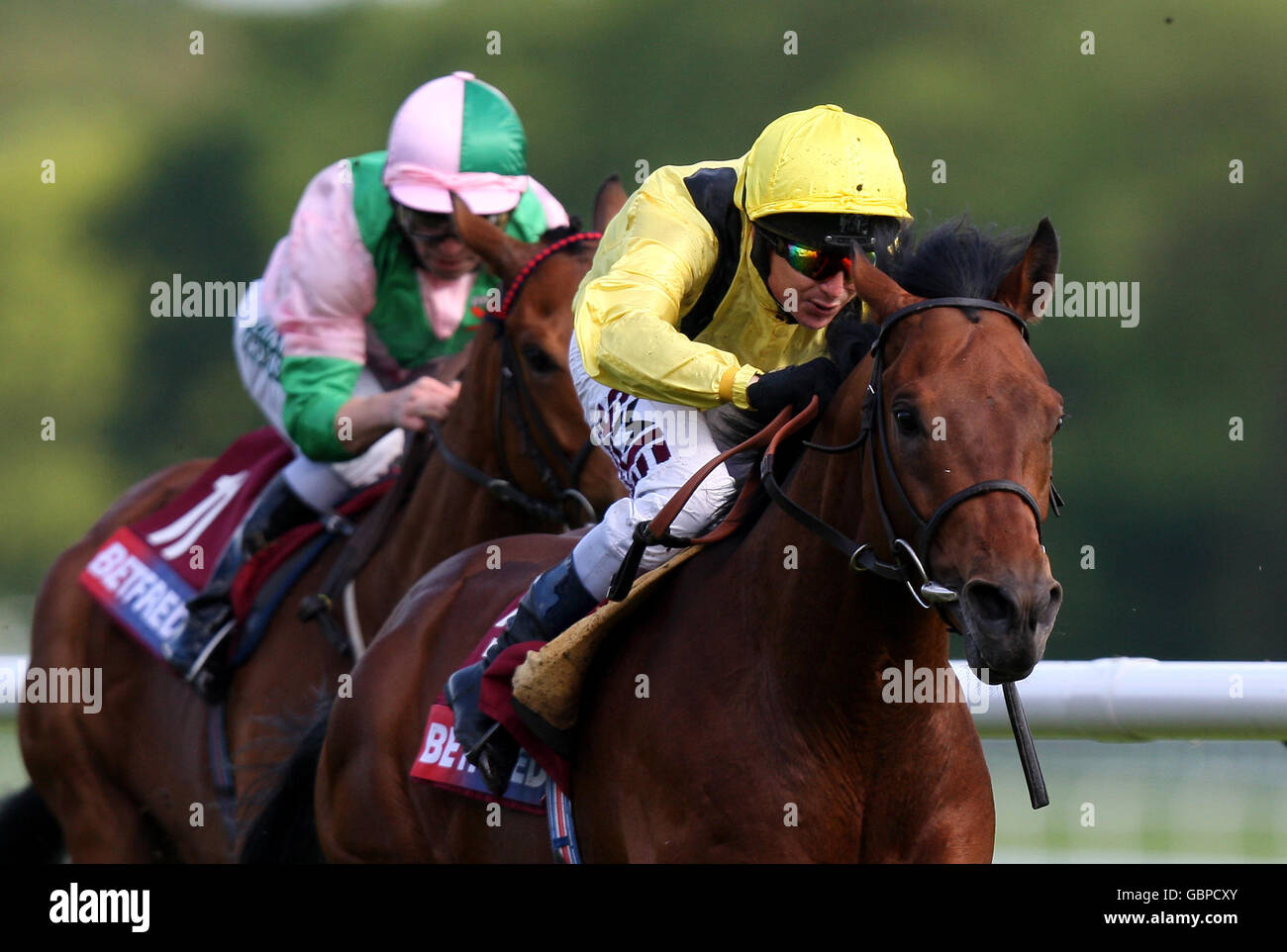 Horse Racing - Haydock Park Racecourse Stock Photo - Alamy
