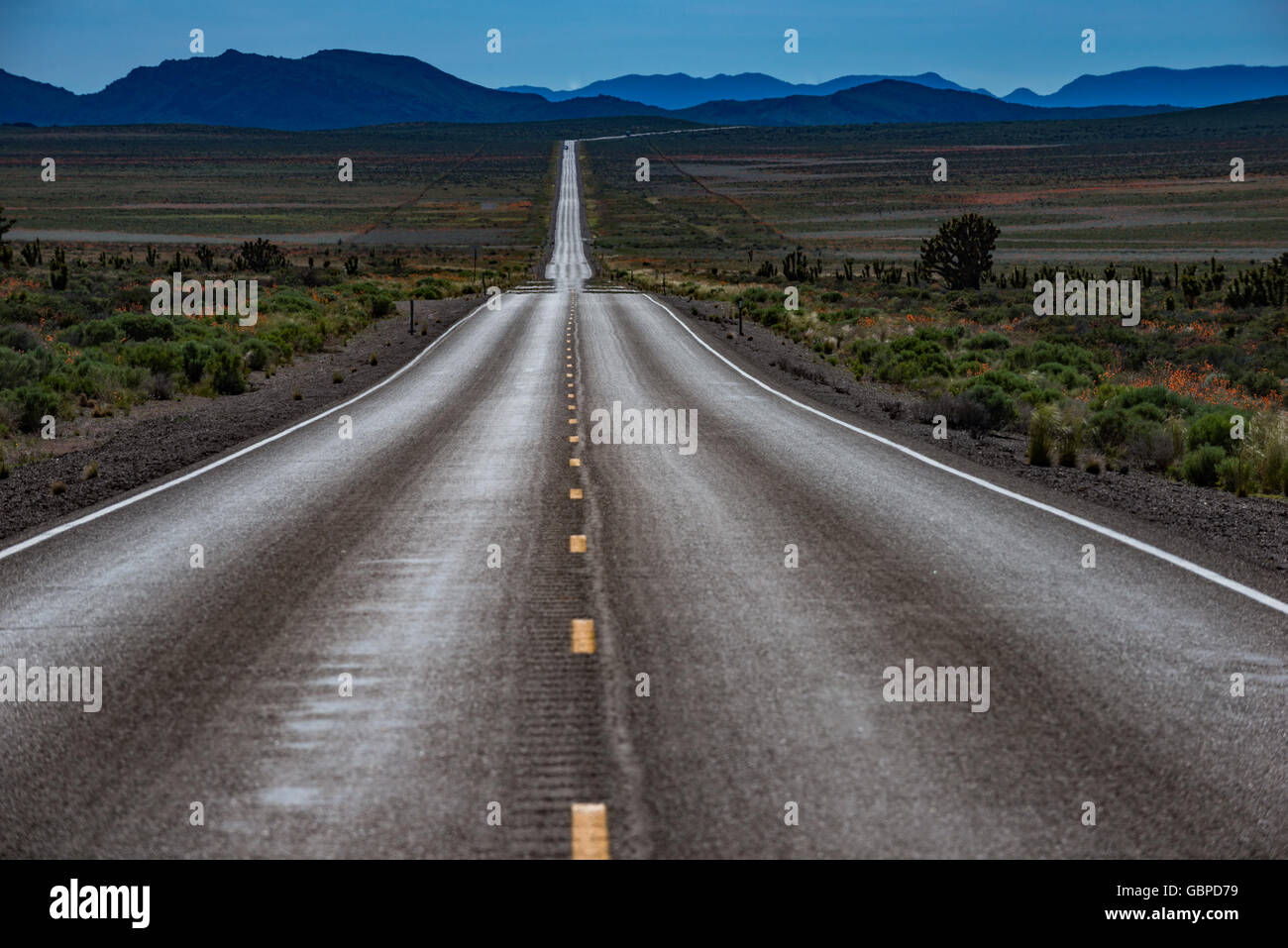 Empty Desert Road to the mountains Nevada USA Stock Photo - Alamy