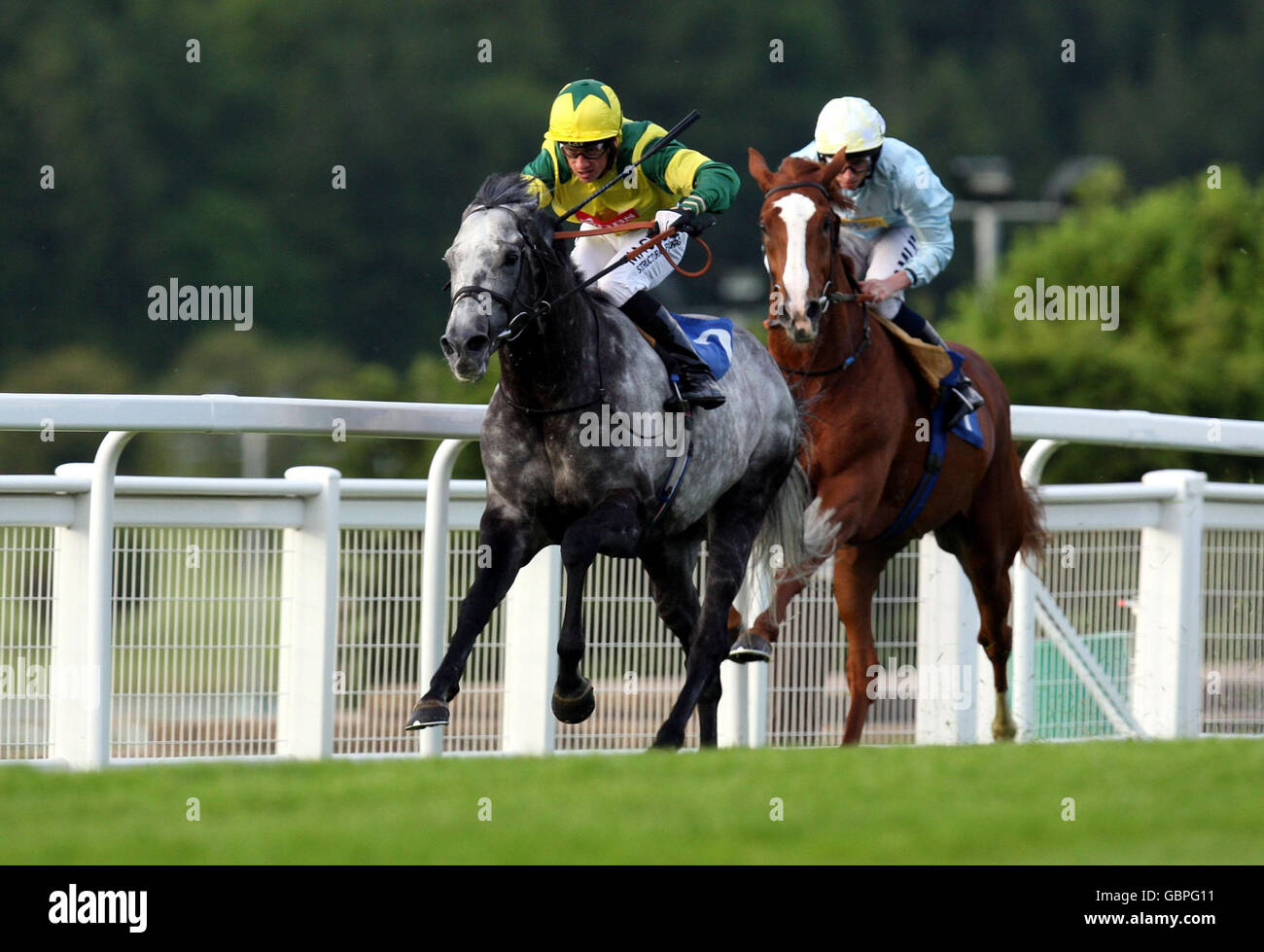 Brigadier Gerard Horse High Resolution Stock Photography and Images - Alamy