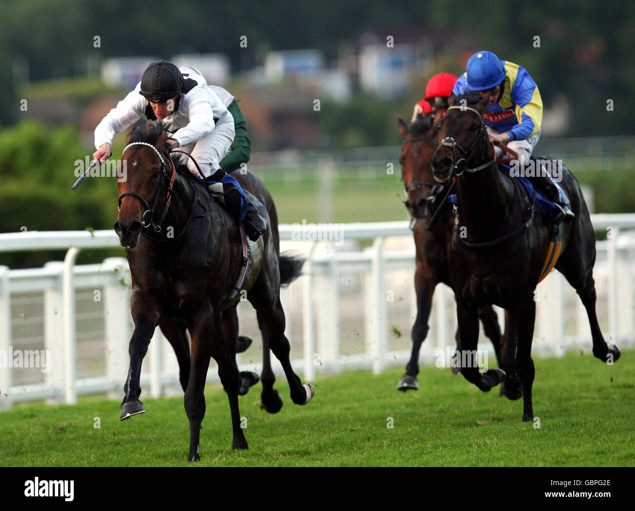 Brigadier Gerard Horse High Resolution Stock Photography and Images - Alamy