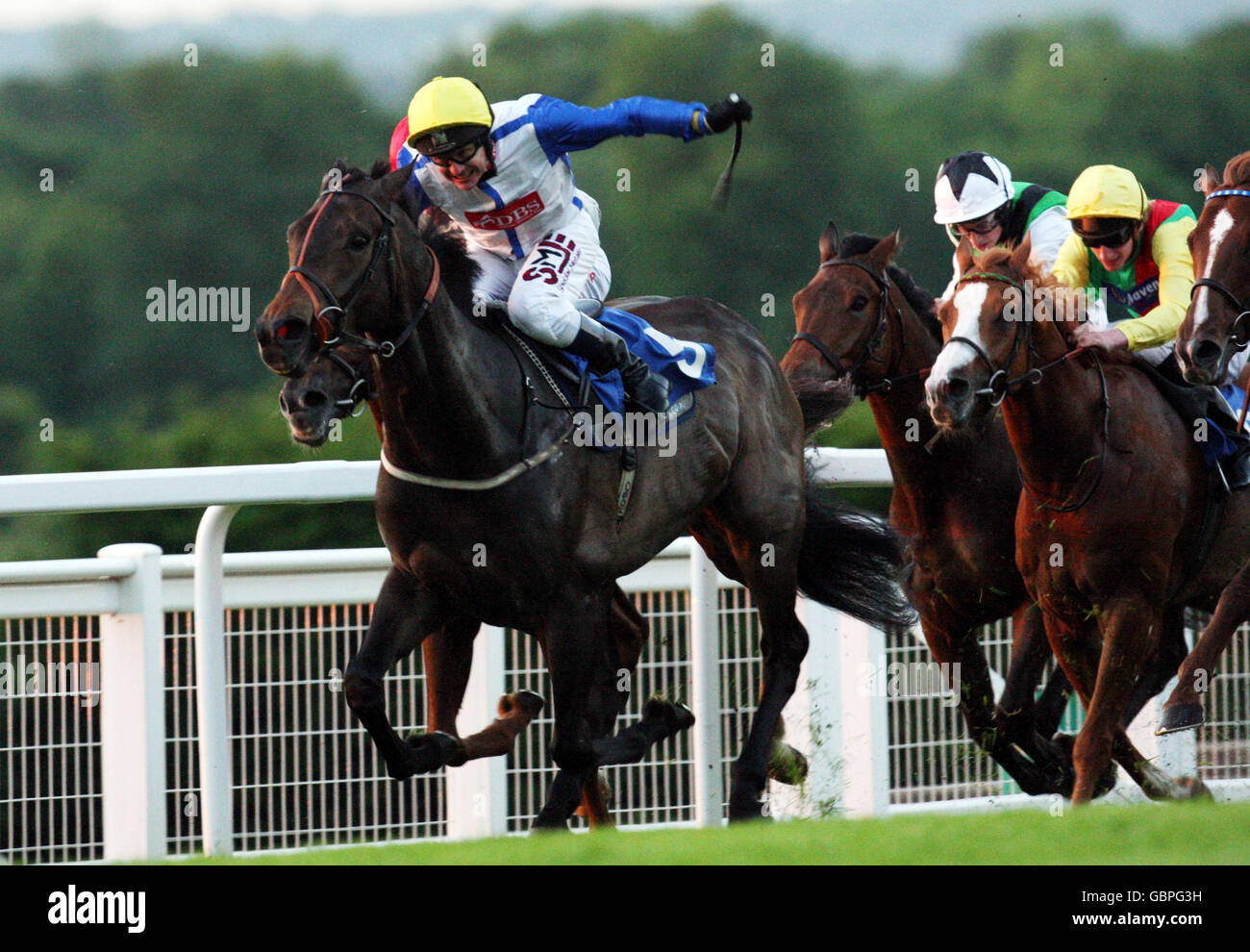 Brigadier gerard horse hi-res stock photography and images - Alamy