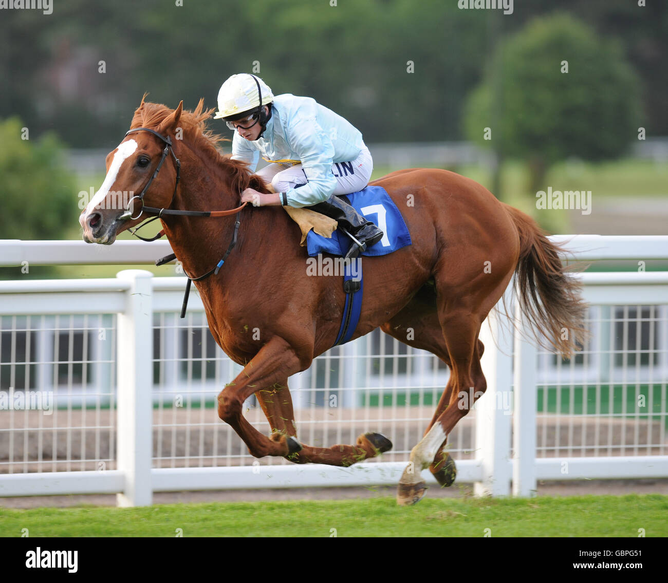 Brigadier Gerard Horse High Resolution Stock Photography and Images - Alamy