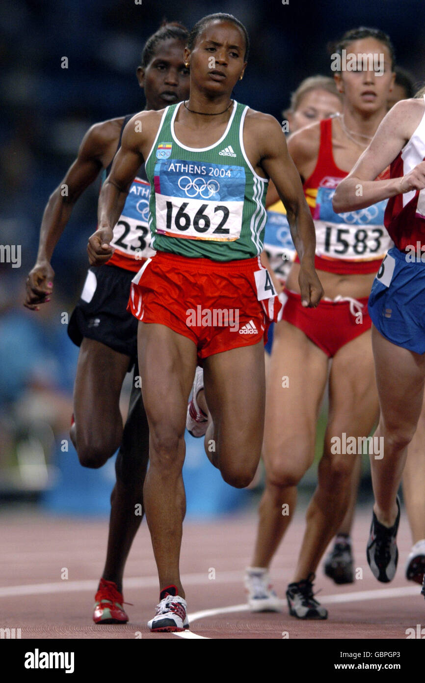 Kutre dulecha hi-res stock photography and images - Alamy