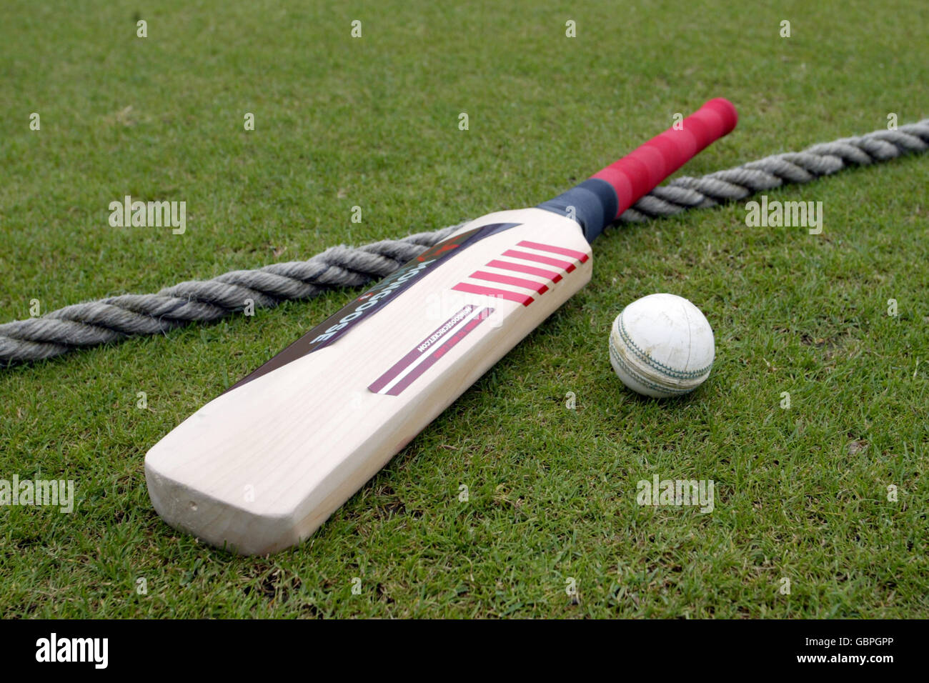 New mongoose cricket bat hi-res stock photography and images - Alamy