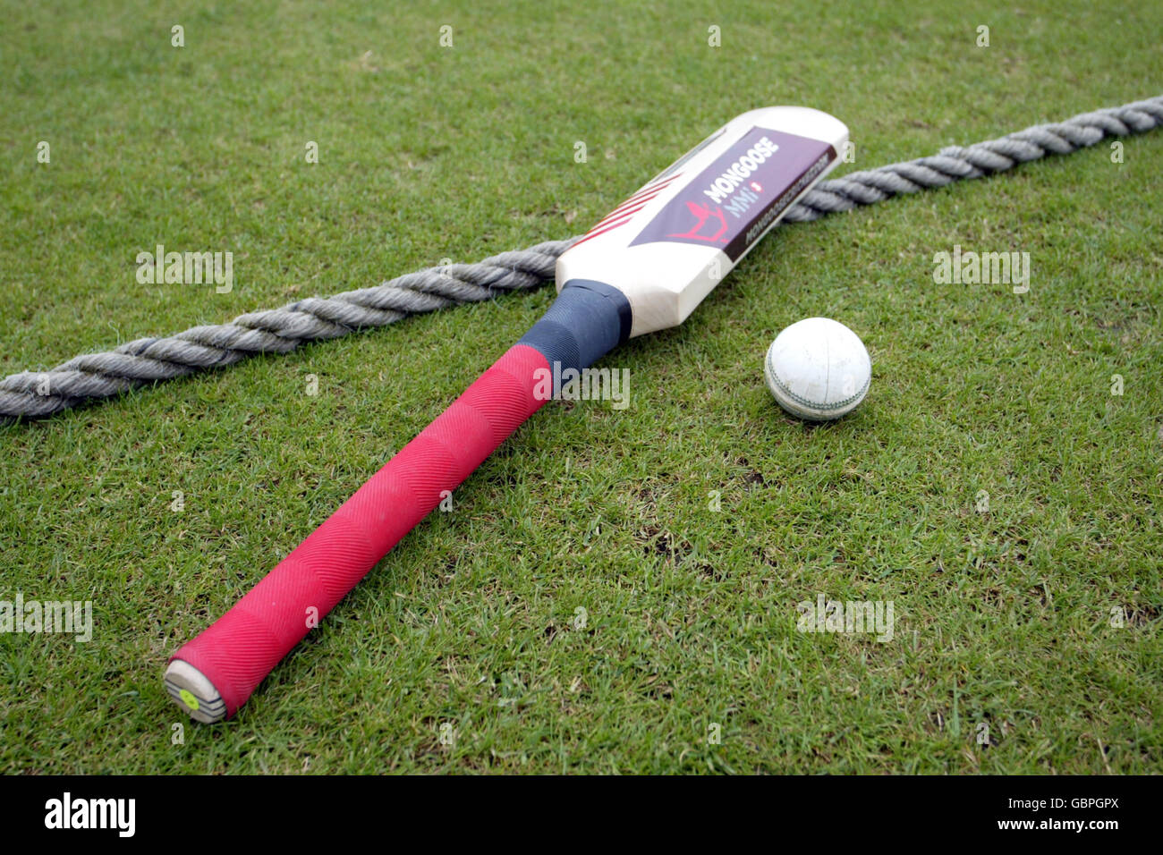 The new mongoose cricket bat hi-res stock photography and images - Alamy