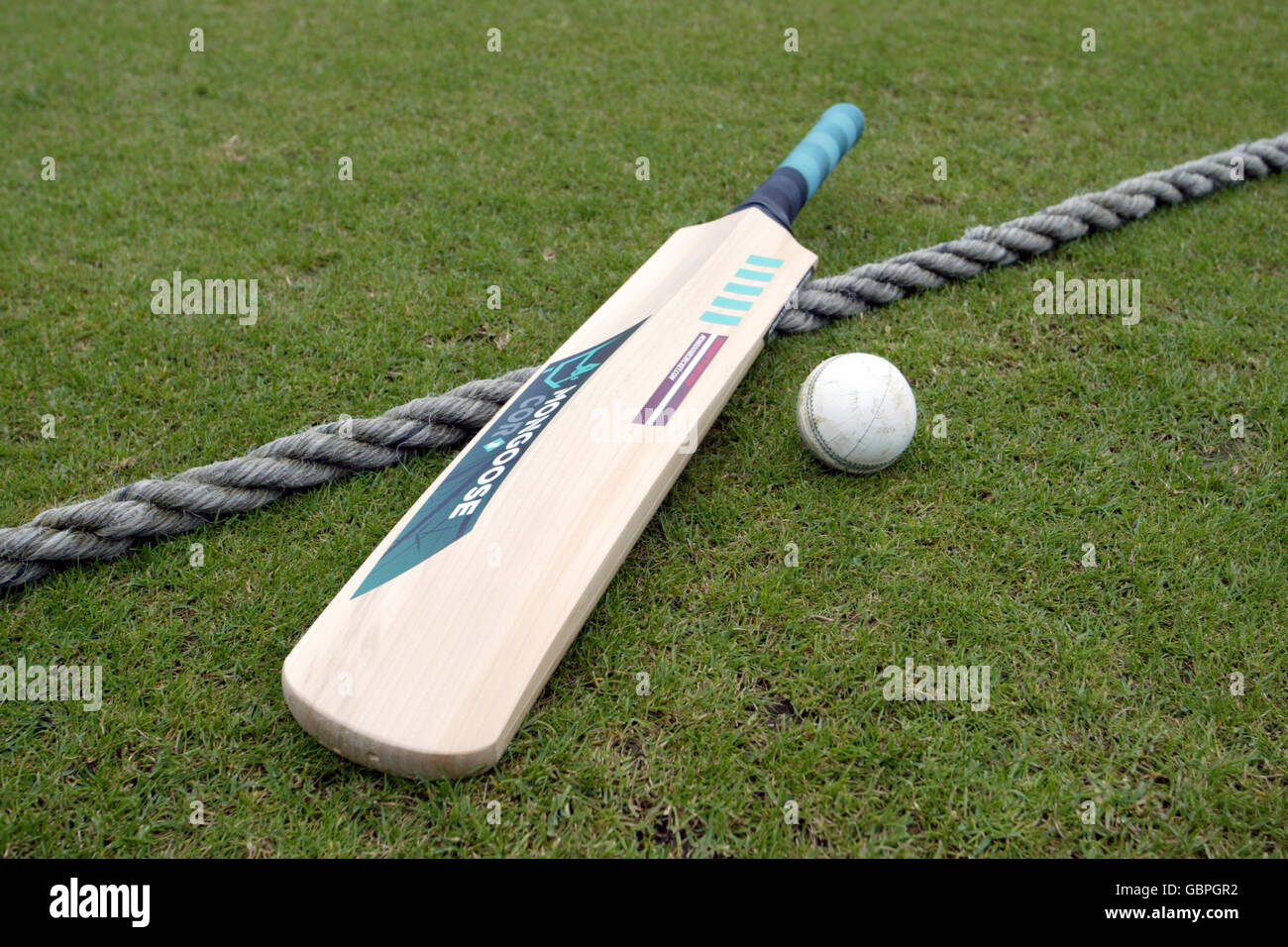 Bat hawks hi-res stock photography and images - Alamy