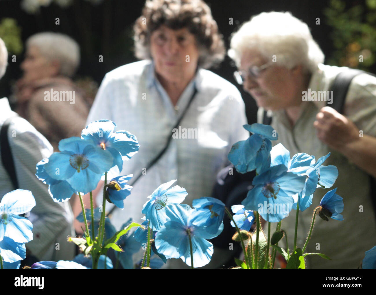 The Gardening Scotland show at the Royal Highland Centre in Ingliston ...