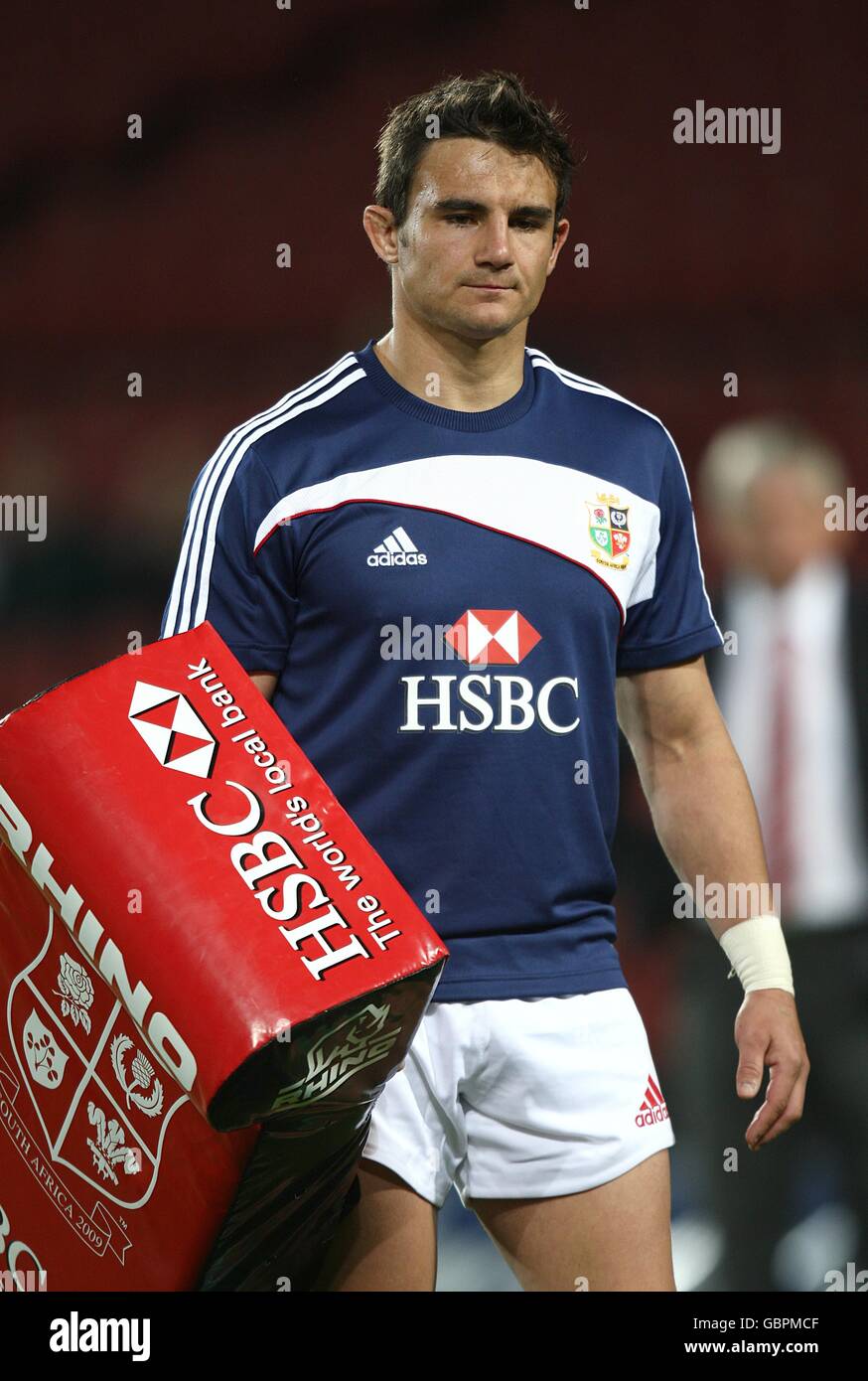 Ellis park lions hi-res stock photography and images - Alamy