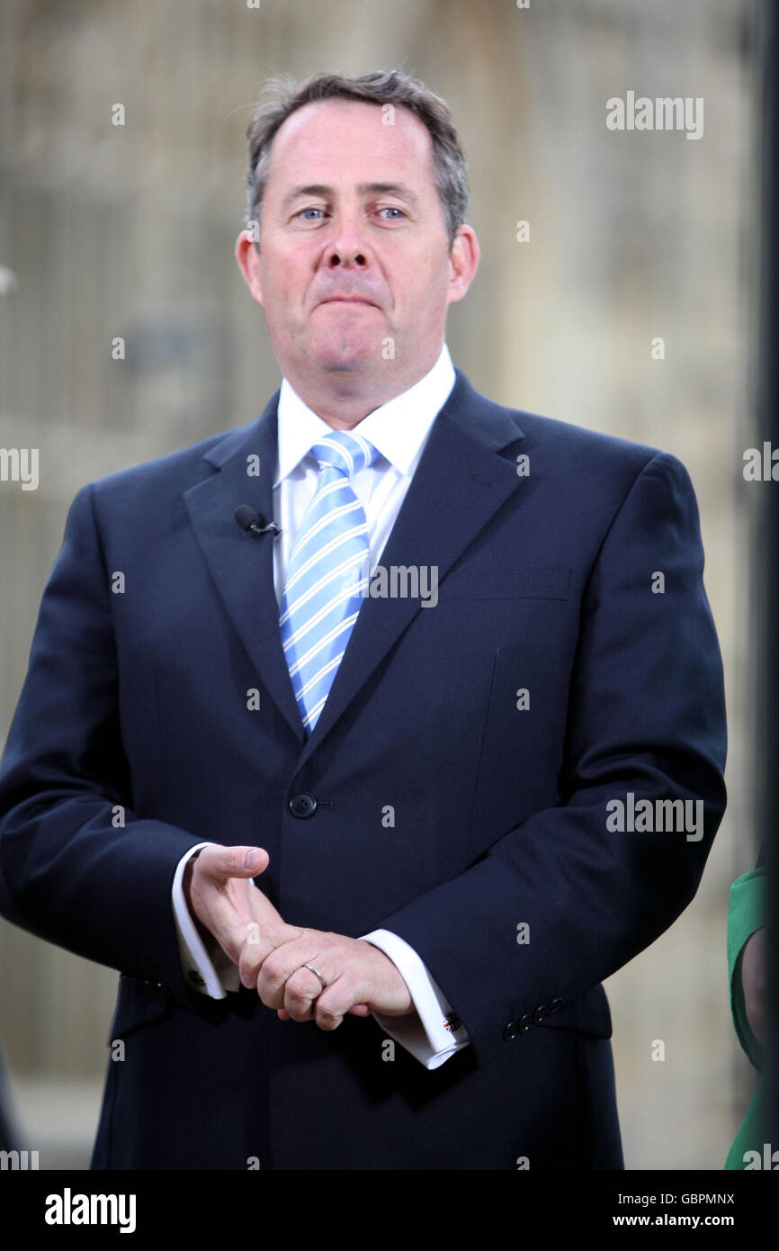 Fox In Shadow High Resolution Stock Photography and Images - Alamy