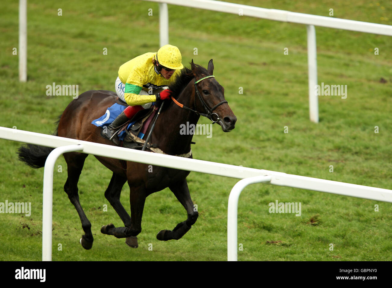 Jockey robert thornton at worcester racecourse hi-res stock photography ...