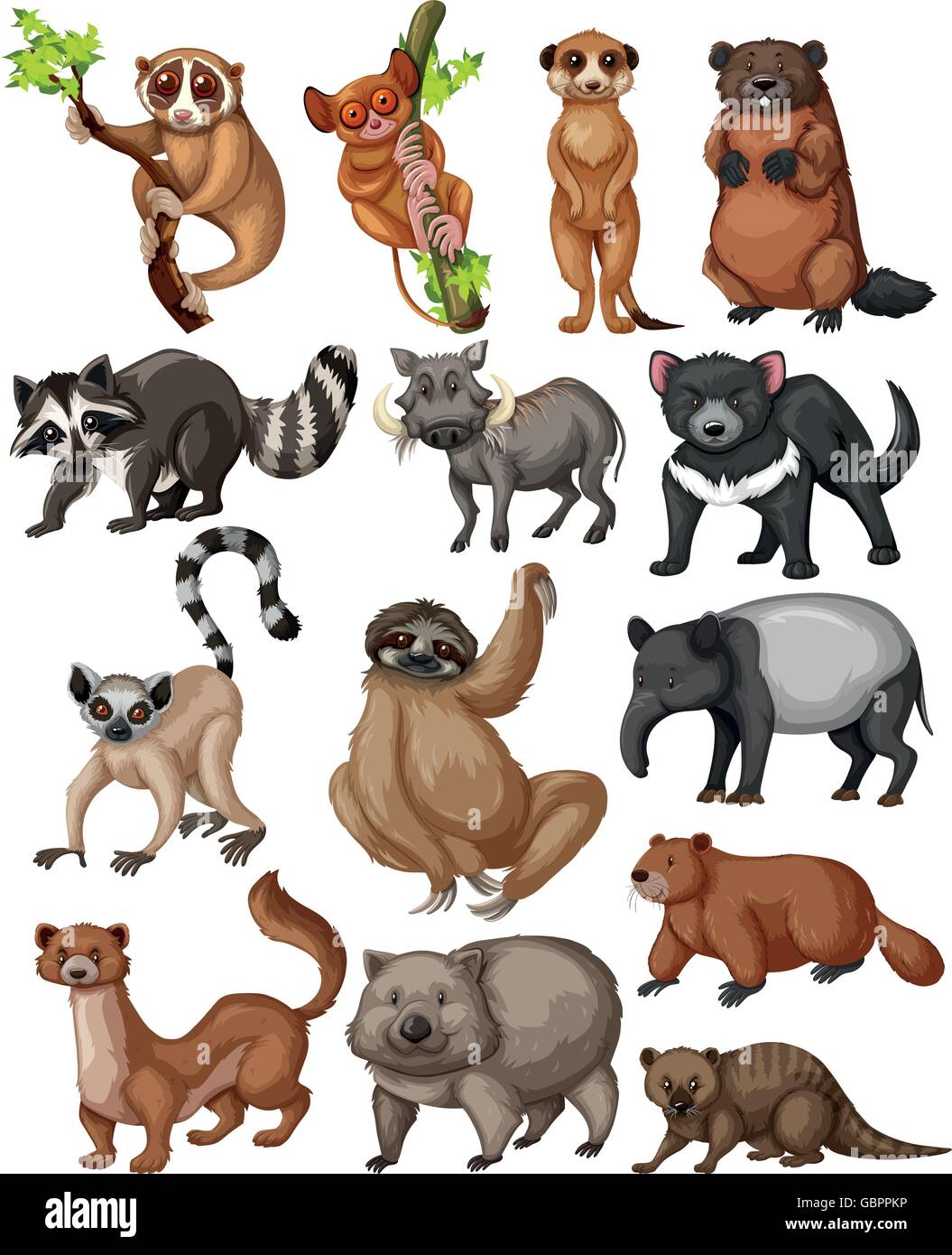 Picture loris Stock Vector Images - Alamy