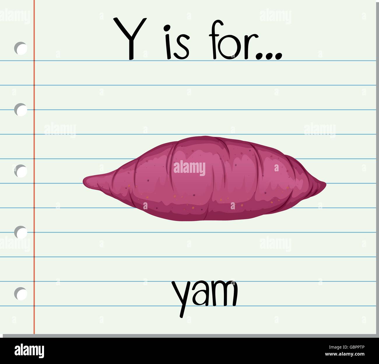 Flashcard letter Y is for yam illustration Stock Vector Image & Art - Alamy