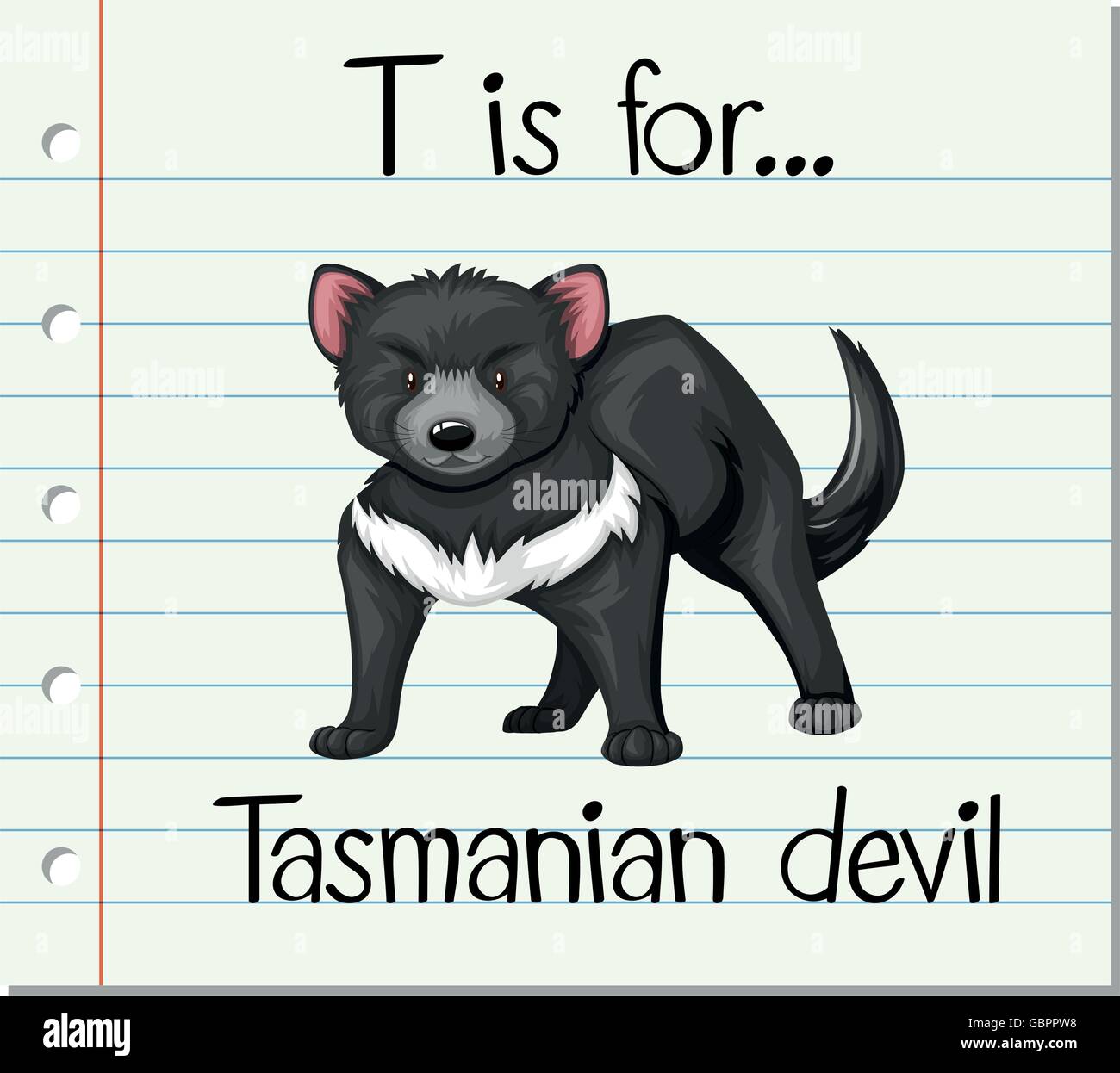 Flashcard letter T is for tasmanian devil illustration Stock Vector ...