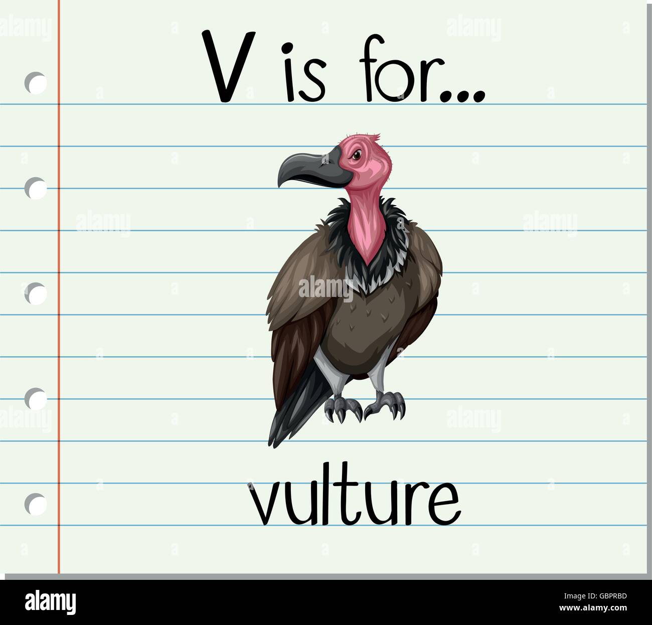 Flashcard letter V is for vulture illustration Stock Vector Image & Art ...