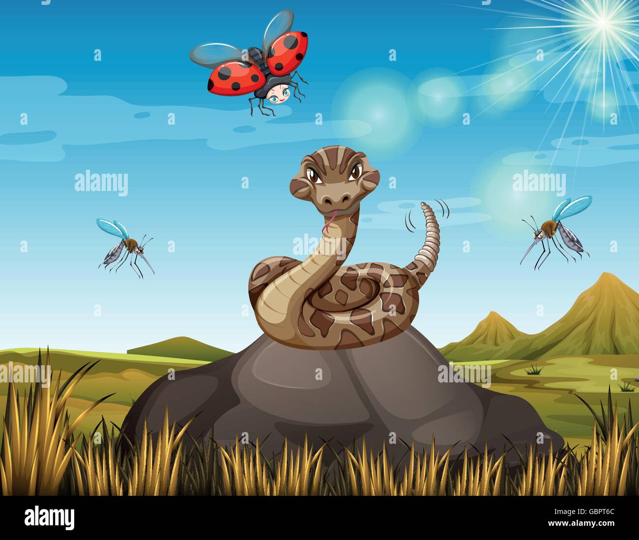 Wild snake on the rock with many bugs illustration Stock Vector Image ...