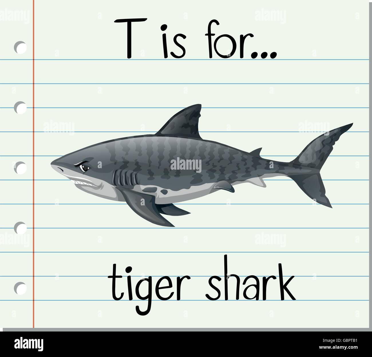 Shark Lettering High Resolution Stock Photography and Images - Alamy