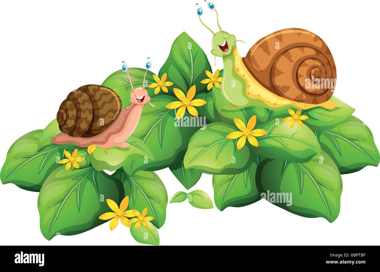 Snails crawling on leaves illustration Stock Vector Image & Art - Alamy
