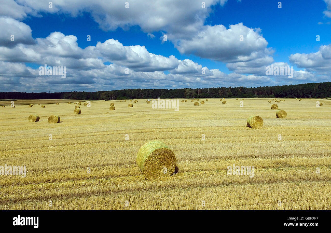 Clouds drift past in the blue sky above a harvested corn field with ...