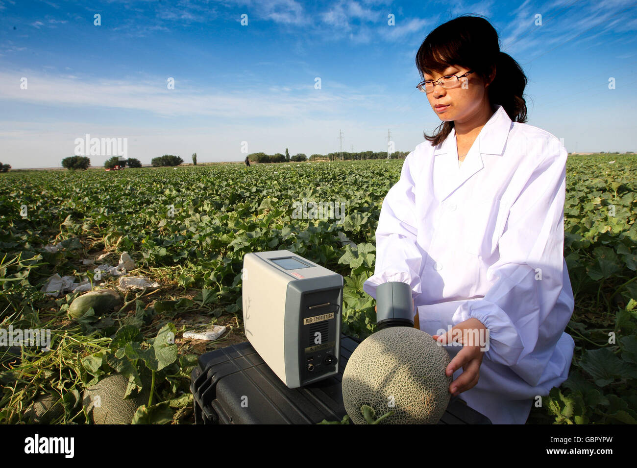 Hami, China's Xinjiang Uygur Autonomous Region. 7th July, 2016. A ...
