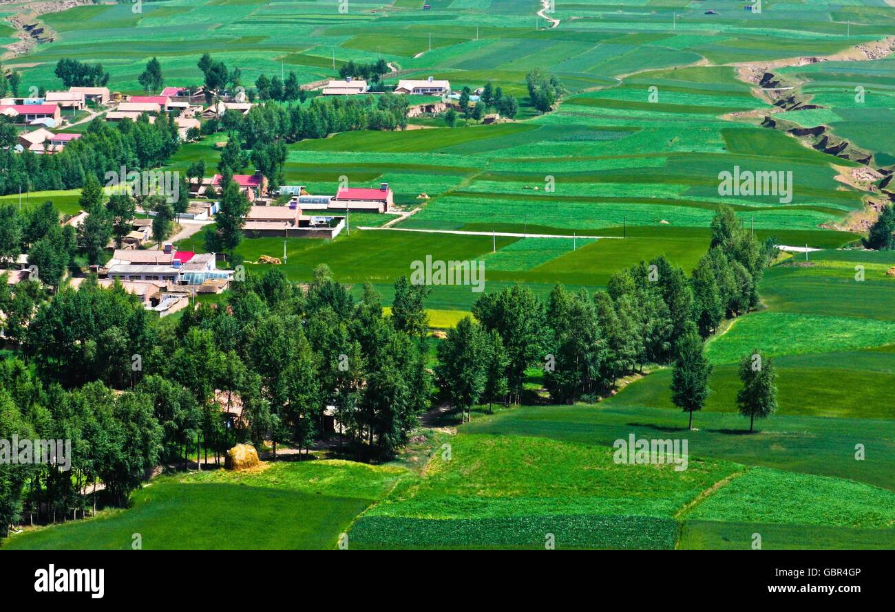 Minle, Minle, CHN. 6th July, 2016. Minle, China - June 29 2016 ...