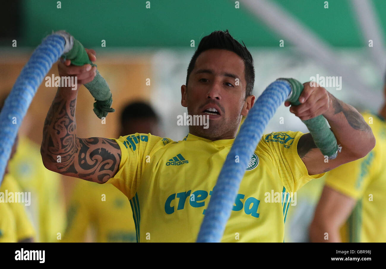 The player Lucas Barrios, the SE Palmeiras, during training, the ...