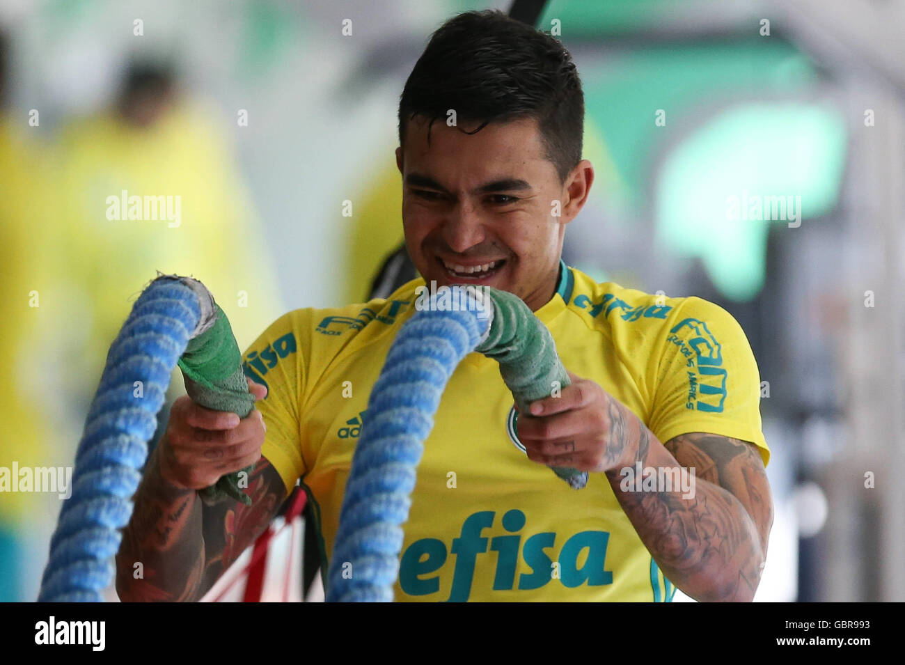 Dudu player, SE Palmeiras, during training, the Football Academy in the ...