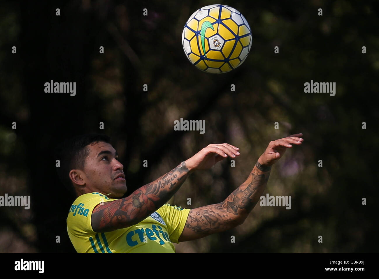 Dudu player, SE Palmeiras, during training, the Football Academy in the ...