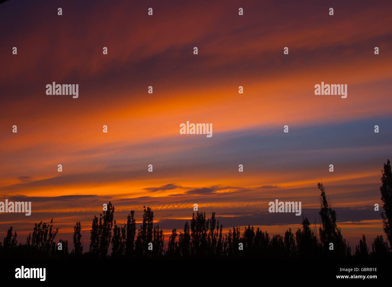 landscape with dramatic light - orange clouds and the outline of trees ...