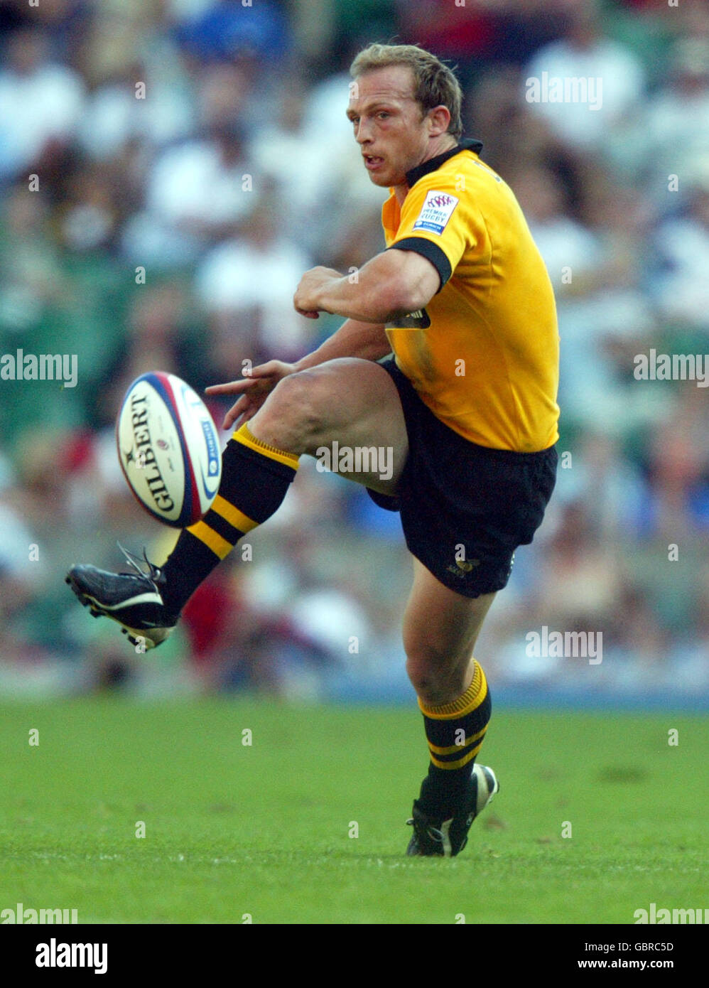 London wasps matt dawson hi-res stock photography and images - Alamy
