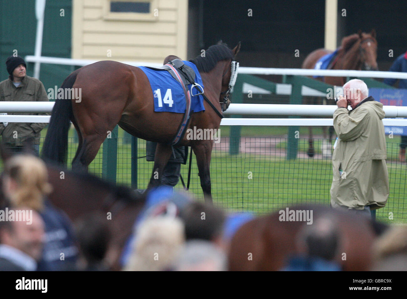 Horse Racing - Bath Racecourse Stock Photo - Alamy