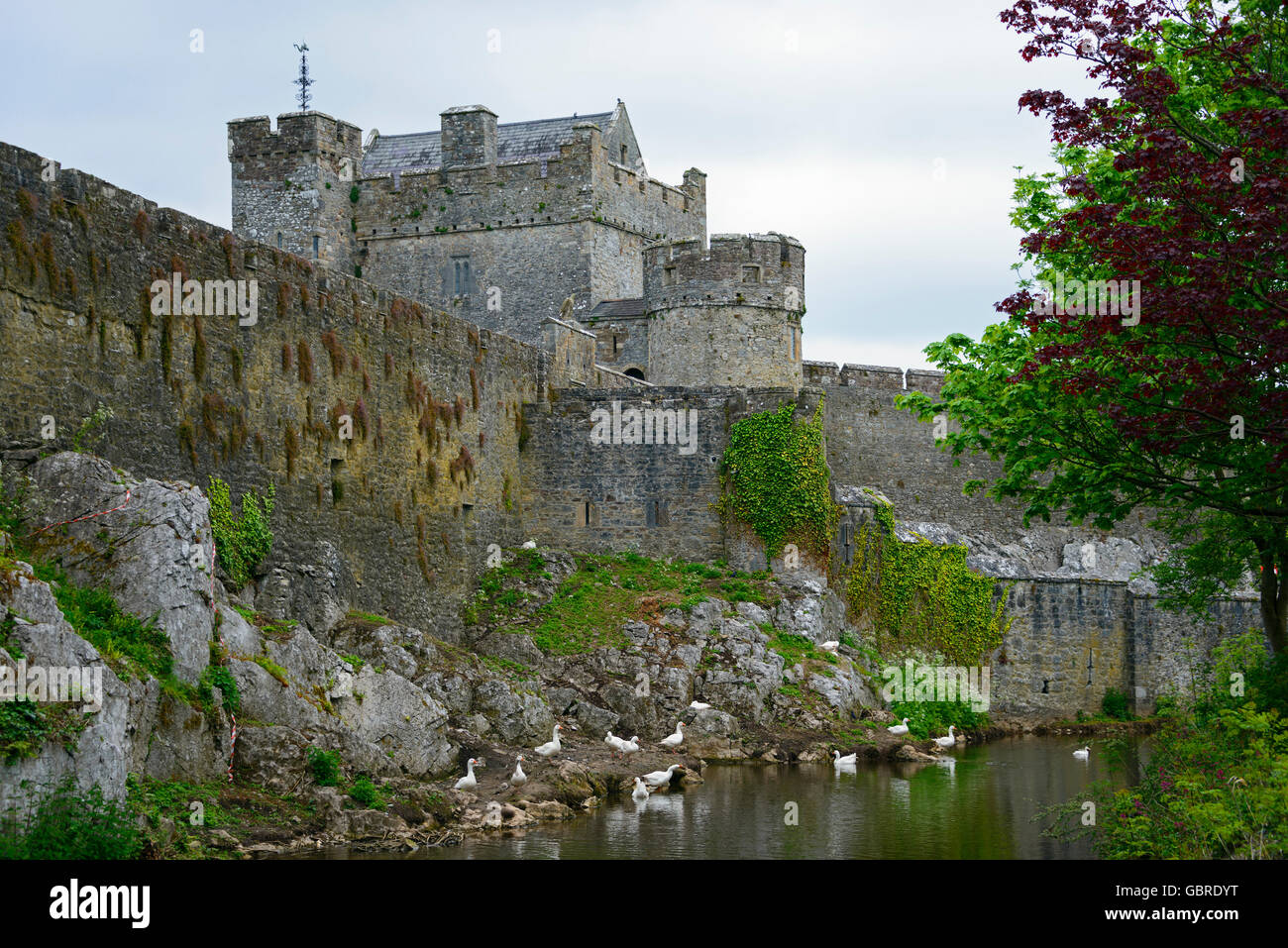 Cahir Castle, Caher Castle, Cahir, Ireland Stock Photo - Alamy