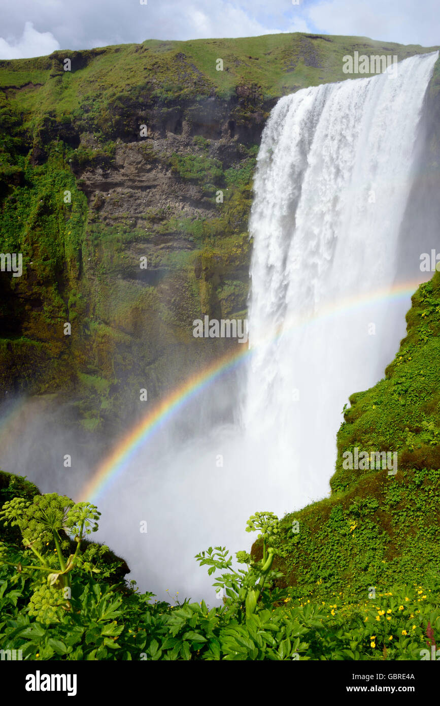 Skogafoss river hi-res stock photography and images - Alamy