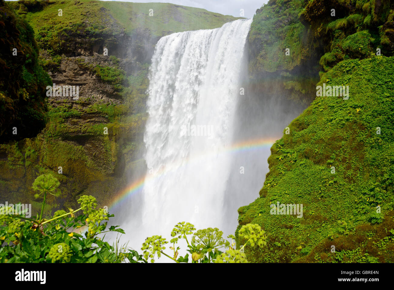 Skogafoss river hi-res stock photography and images - Alamy