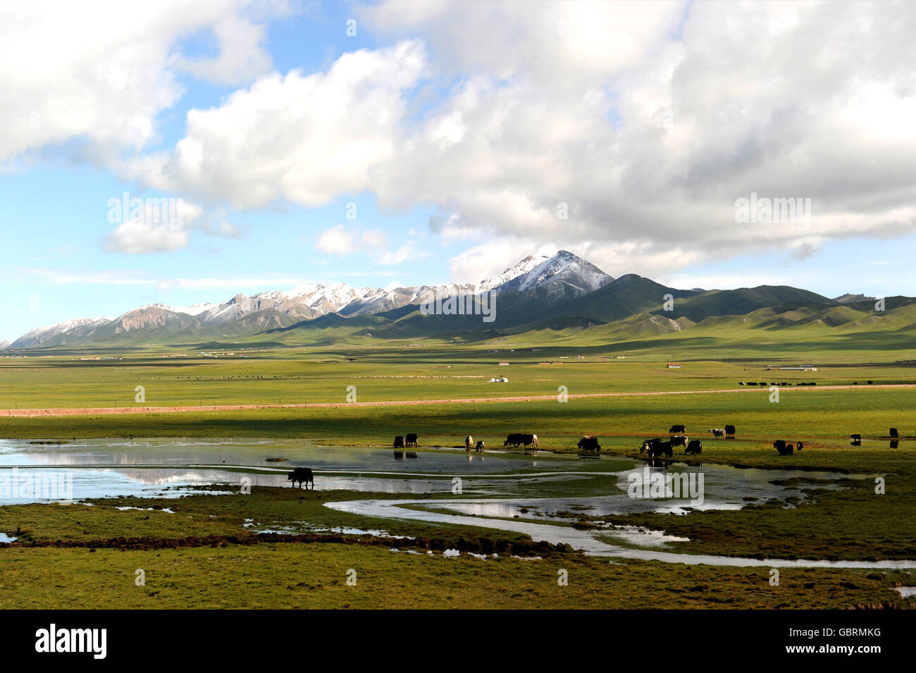 The scenery in Qinghai County of Qilian Province Stock Photo - Alamy