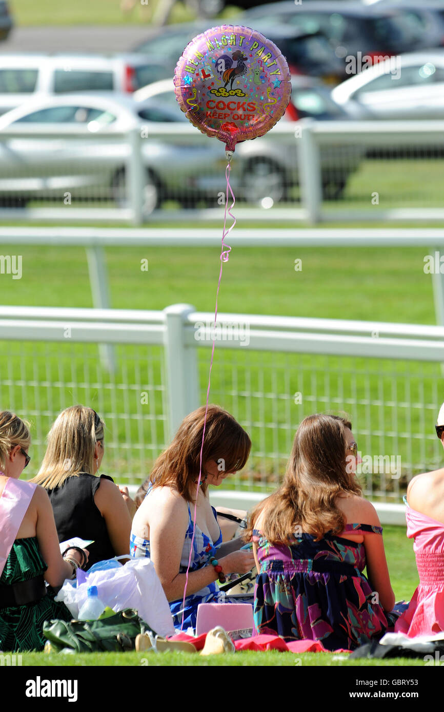 Horse Racing - Totepool Irish Day - Sandown Park Stock Photo - Alamy