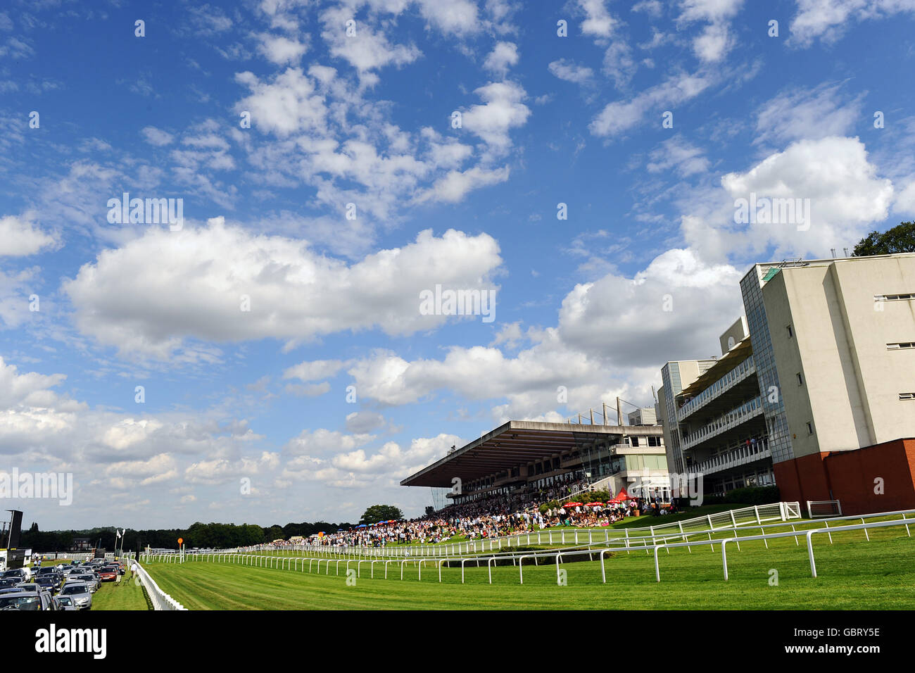 Horse Racing - Totepool Irish Day - Sandown Park. General view of the ...