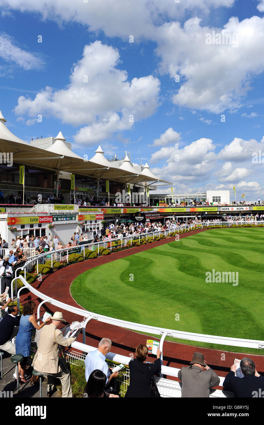 Horse Racing - Totepool Irish Day - Sandown Park. Racegoers enjoy the ...